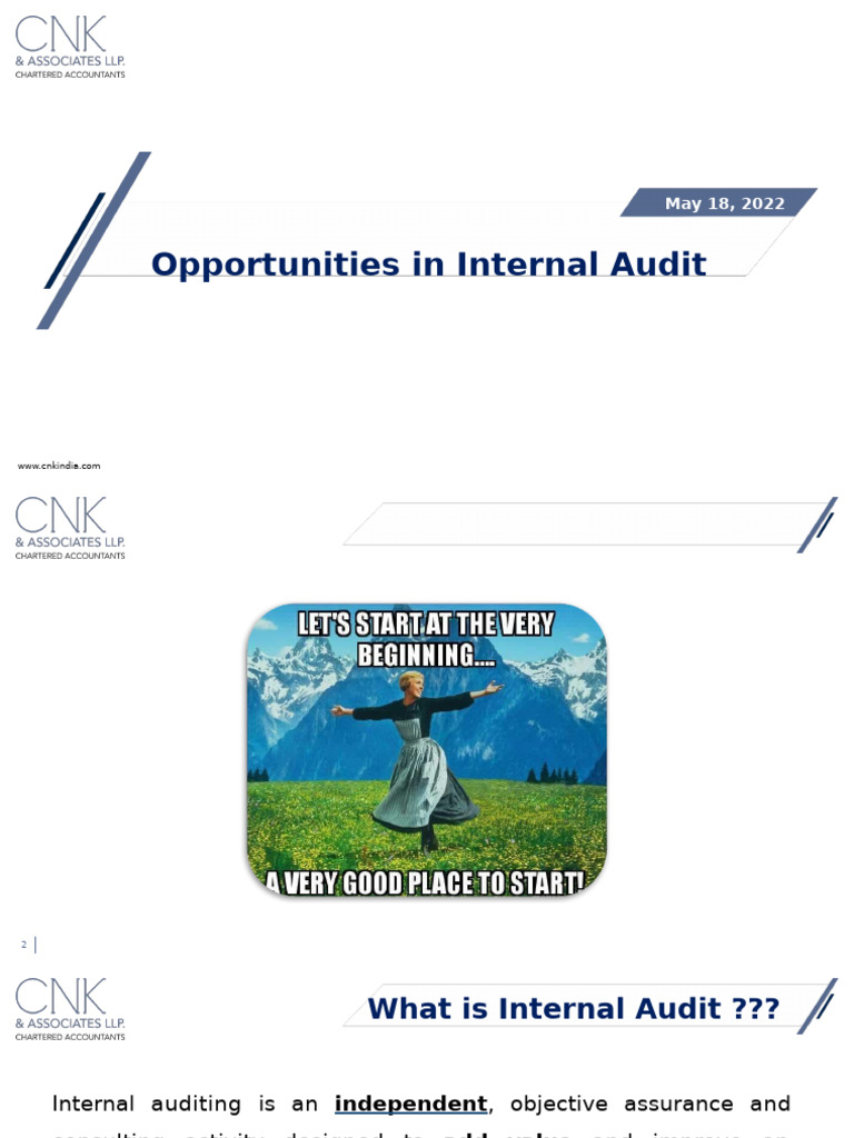 Opportunities in Internal Audit | PDF