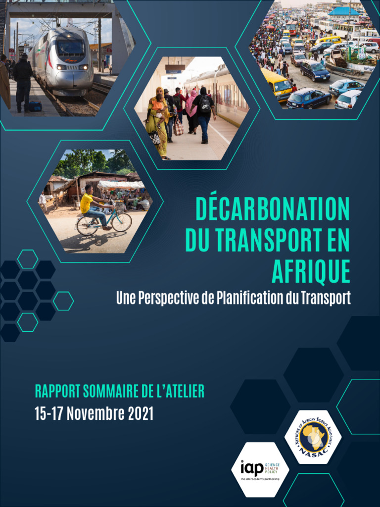 IAP-NASAC Decarbonisation Workshop Summary Report - FRENCH | PDF