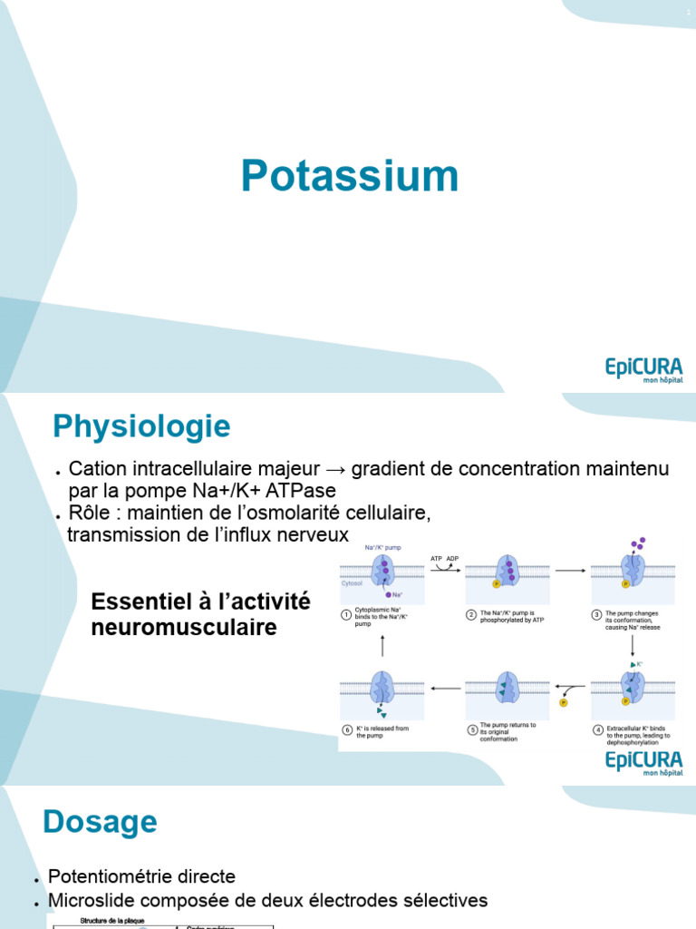Potassium | PDF