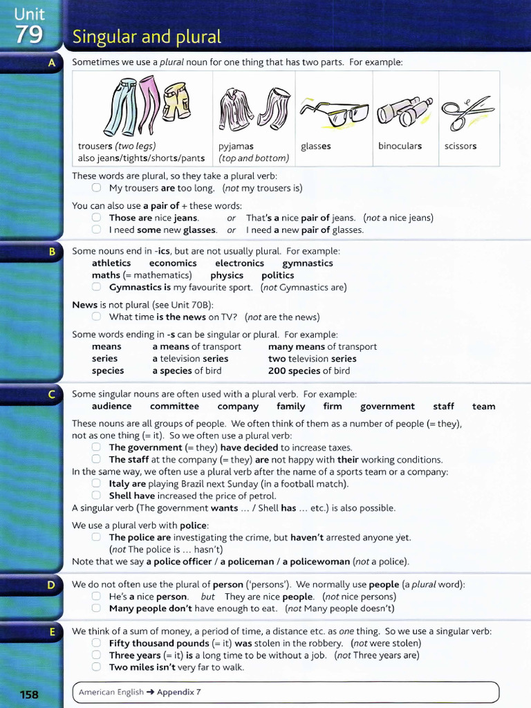 Singular and Plural Unit 79 | PDF
