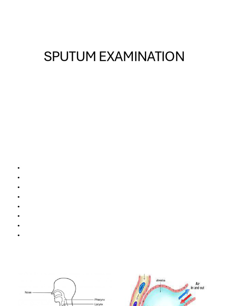 Sputum Examination | PDF