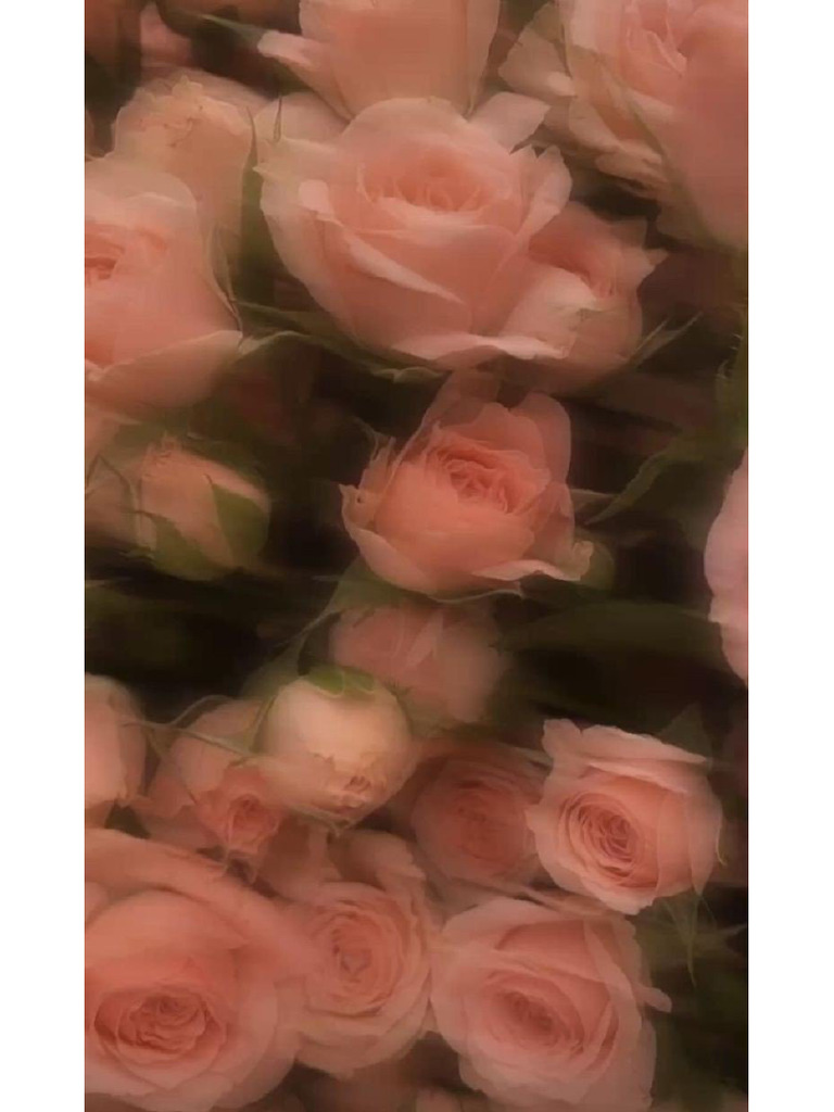 Roses | PDF