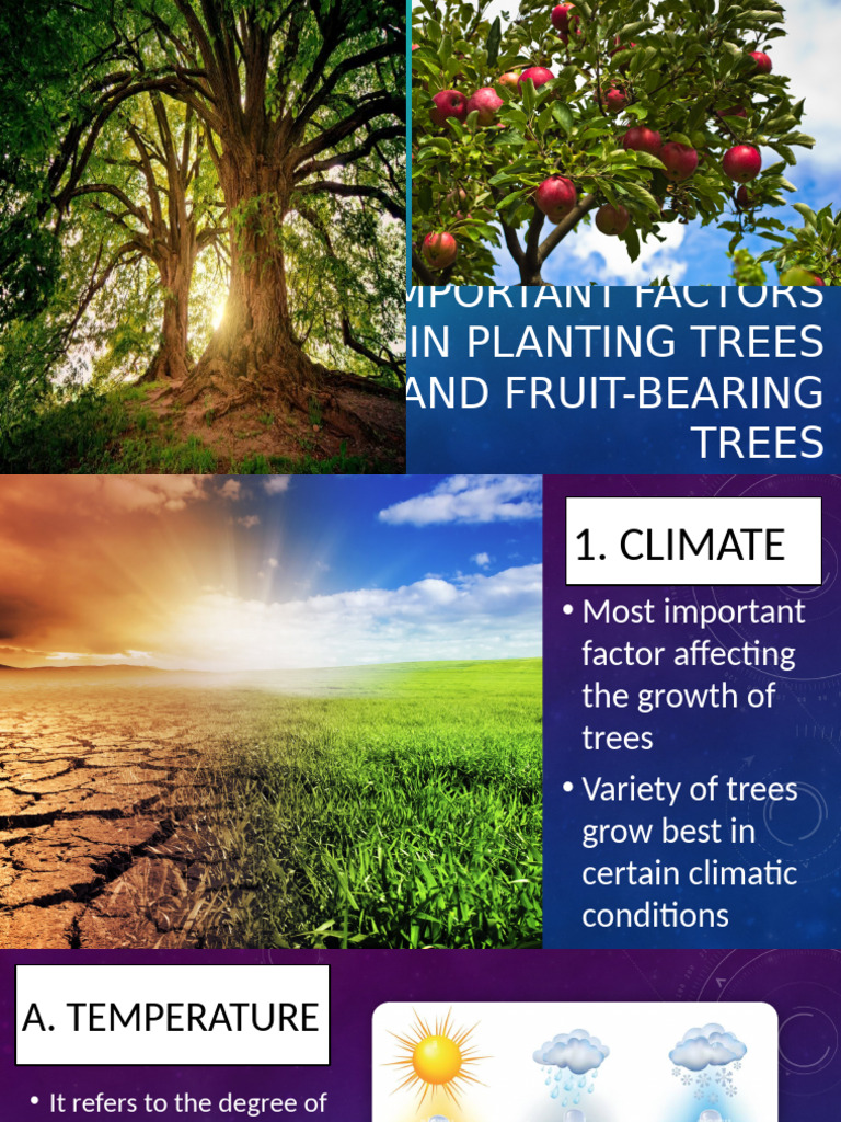 Important factors in planting trees | PDF