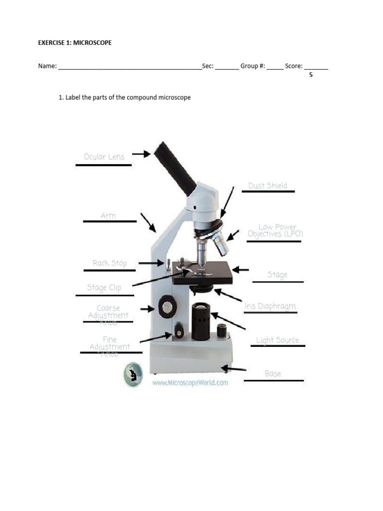 Exercise 1 Lab Sheet Pdf Pdf