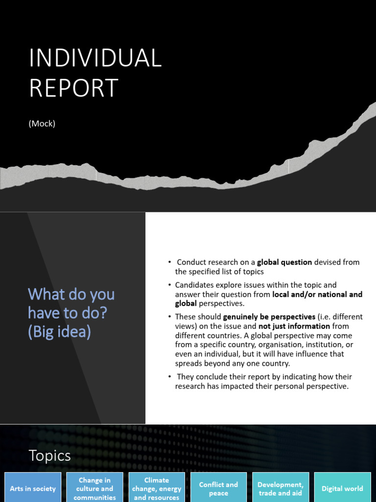 Individul Report Mock GP | PDF