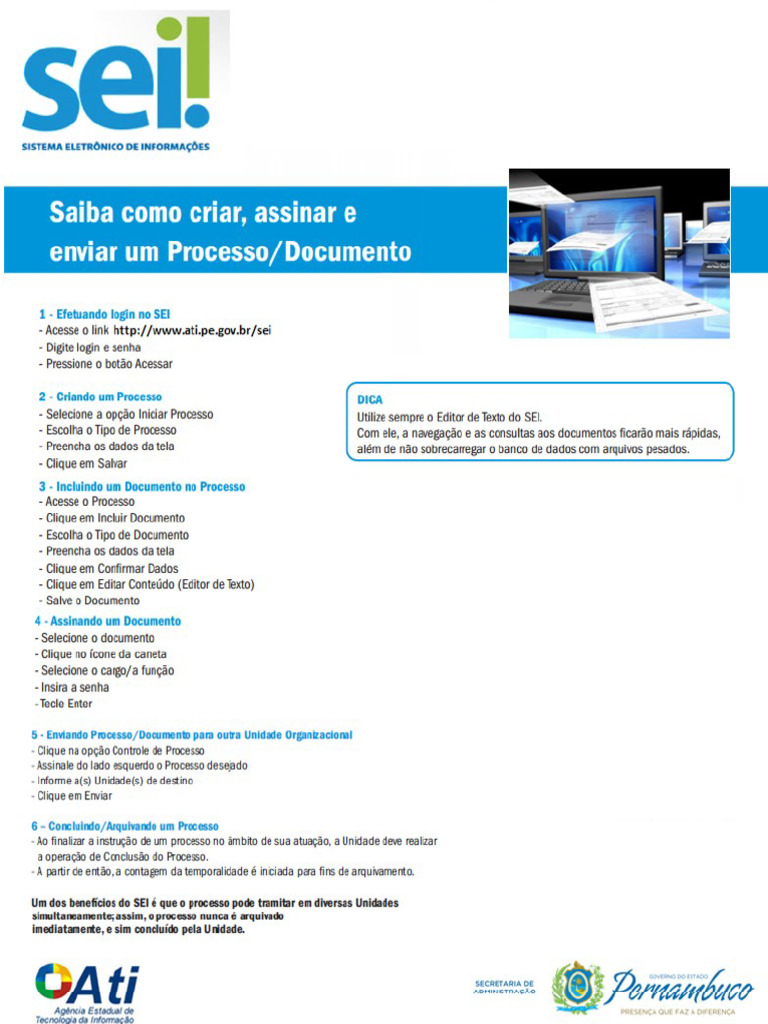 Guia Rapido - SEI | PDF