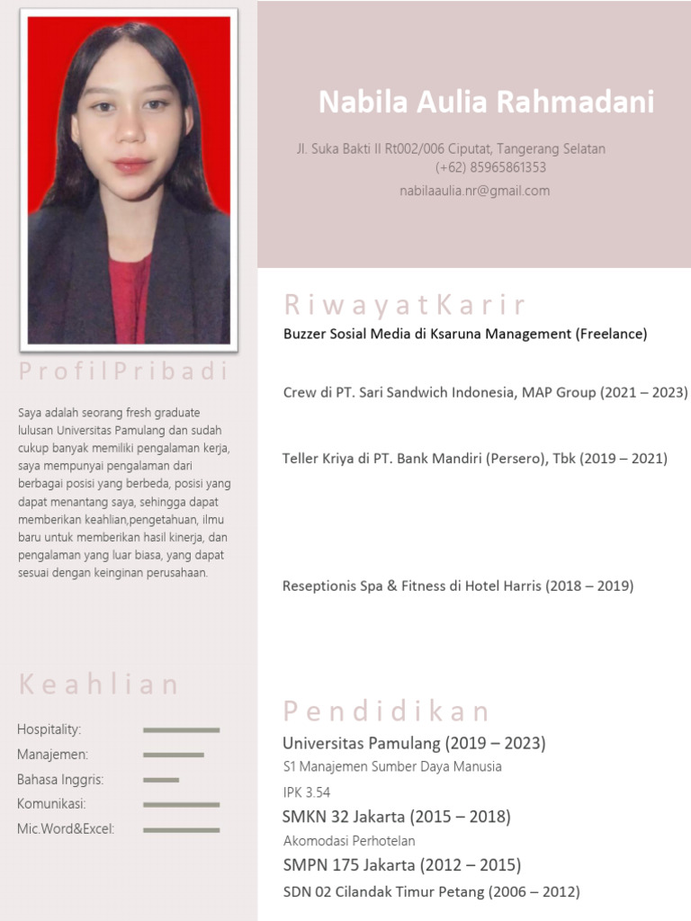 CV Admin Medsos | PDF