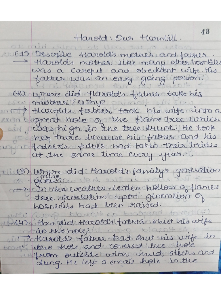 Harold The Hornbill Rapid Reader STD 5 | PDF