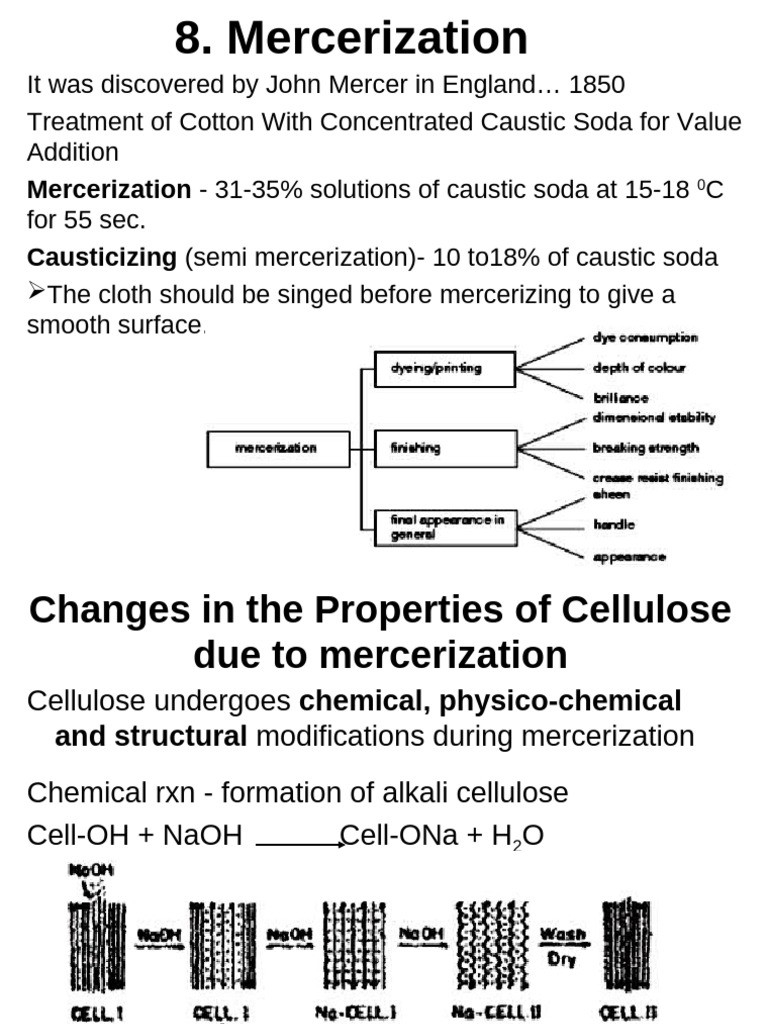 Mercer Ization | PDF