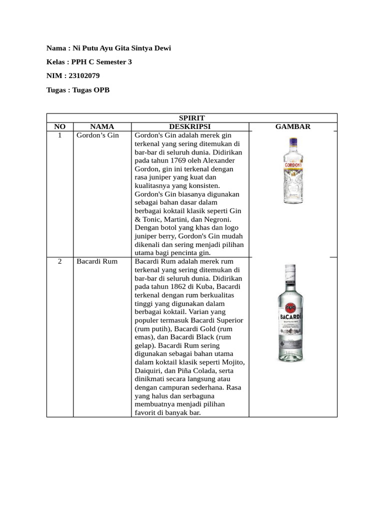 Spirit | PDF