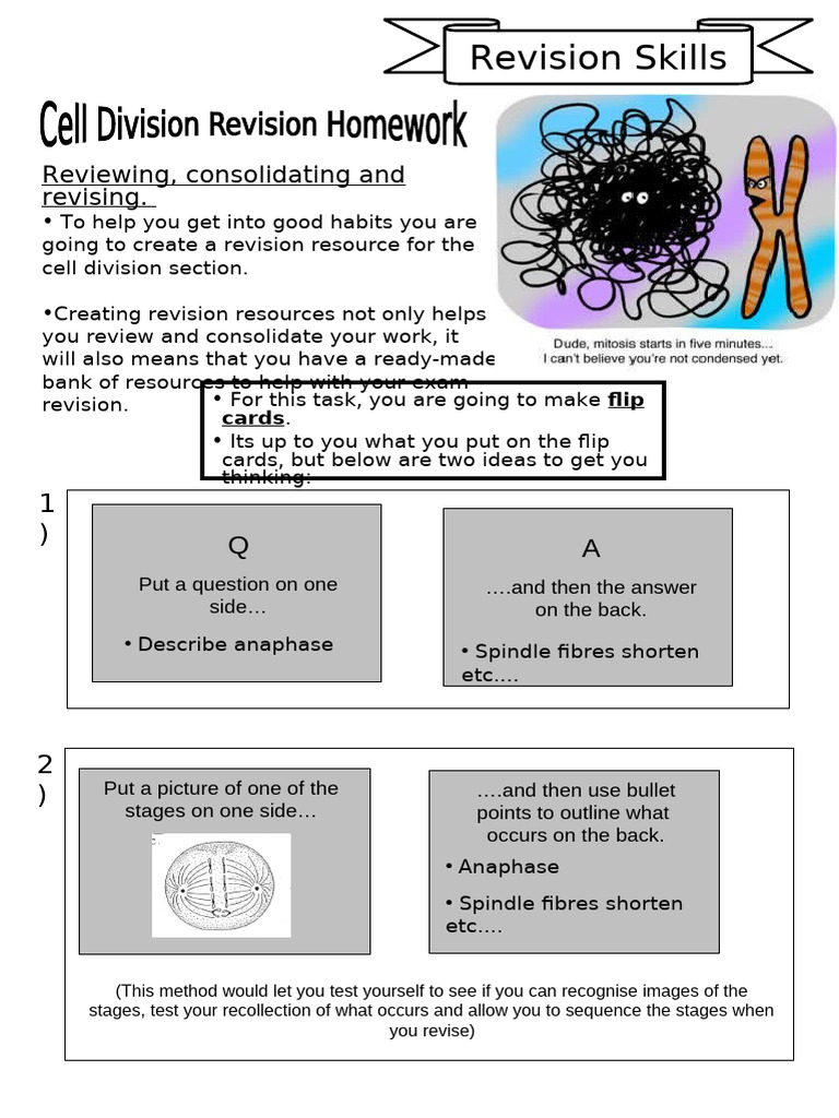 Cell Division Revision Aids | PDF