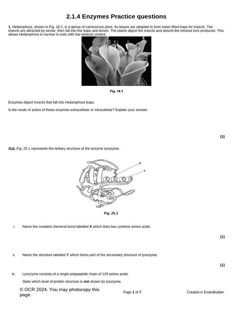 2.1.4 Enzymes Practice Questions | PDF