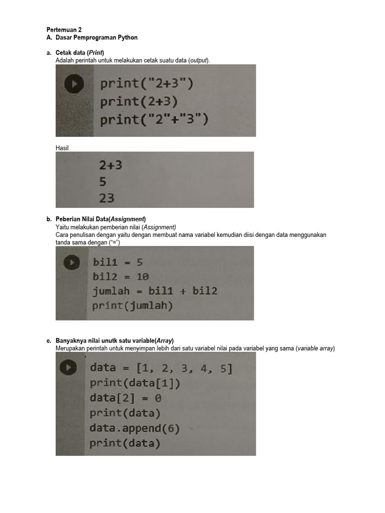Panduan Pemrograman Python | PDF | Komputer