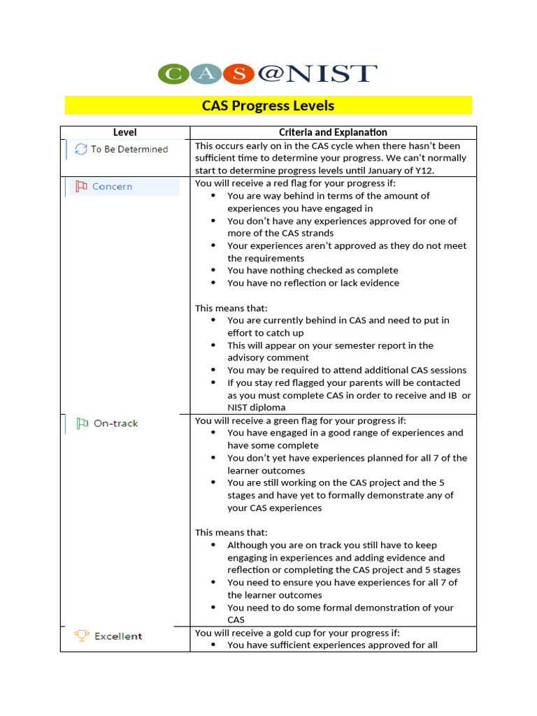 Cas Progress Levels Summary | PDF