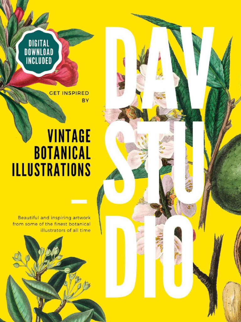 Vintage Botanical Illustrations Beautiful and Inspiring Artwork From ...
