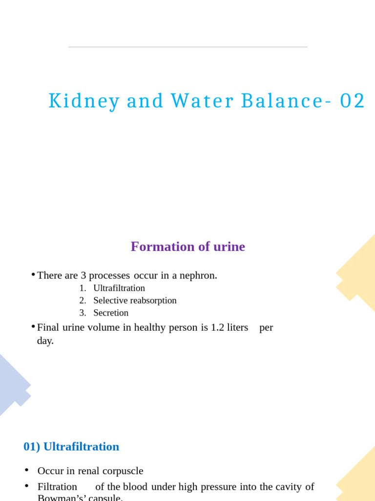 Kidney and Water Balance - 2 | PDF | Kidney | Technology & Engineering