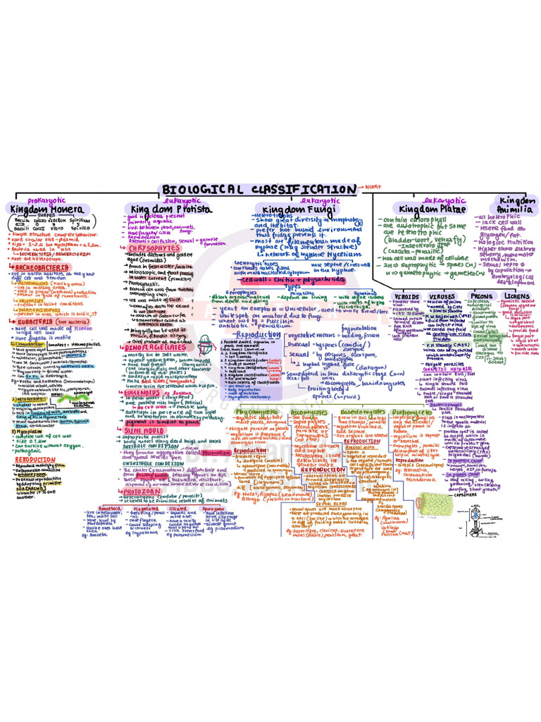 Master Map - Biological Classification | PDF