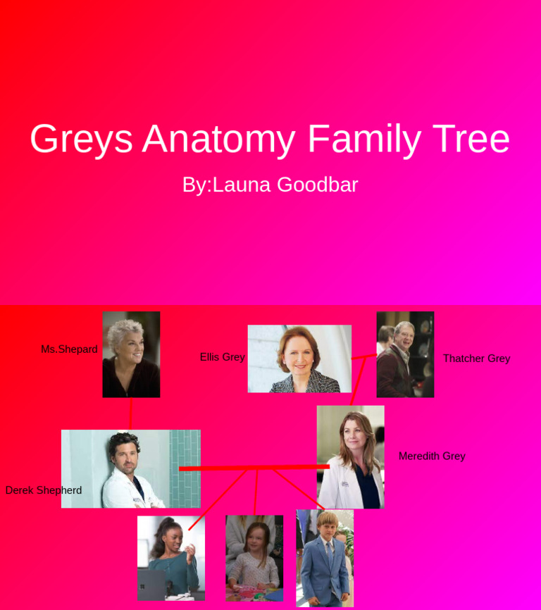 Greys Anatomy Family Tree | PDF