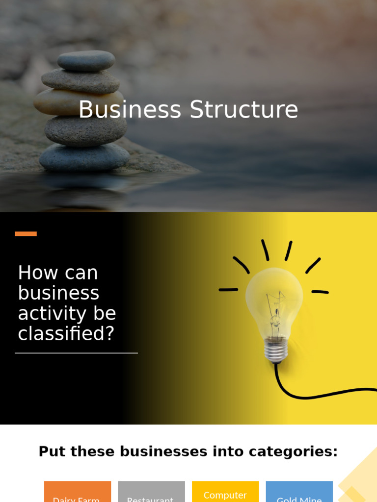 Business Structure | PDF