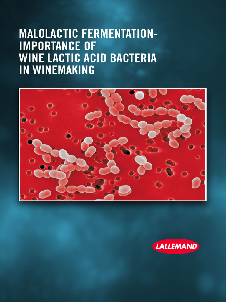 Lallemand Malolactic Fermentation | PDF