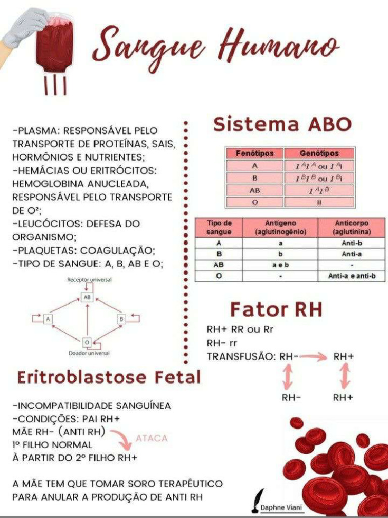 Sistema ABO | PDF