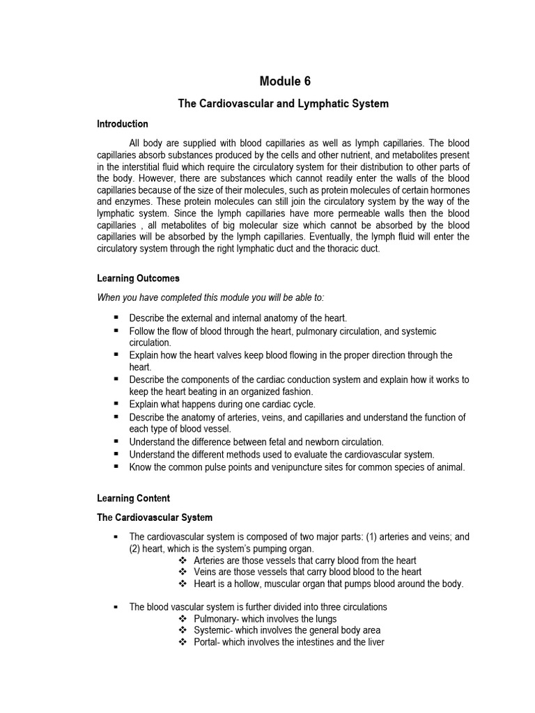 Module 6 The Cardiovascular and Lymphatic System | PDF