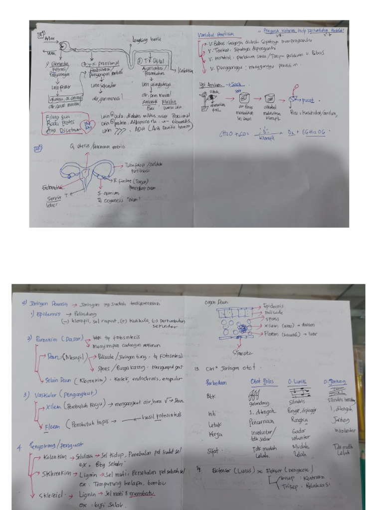 Bio 2024 | PDF
