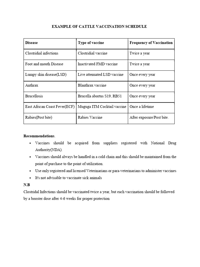 Cattle Vaccination Schedule | PDF