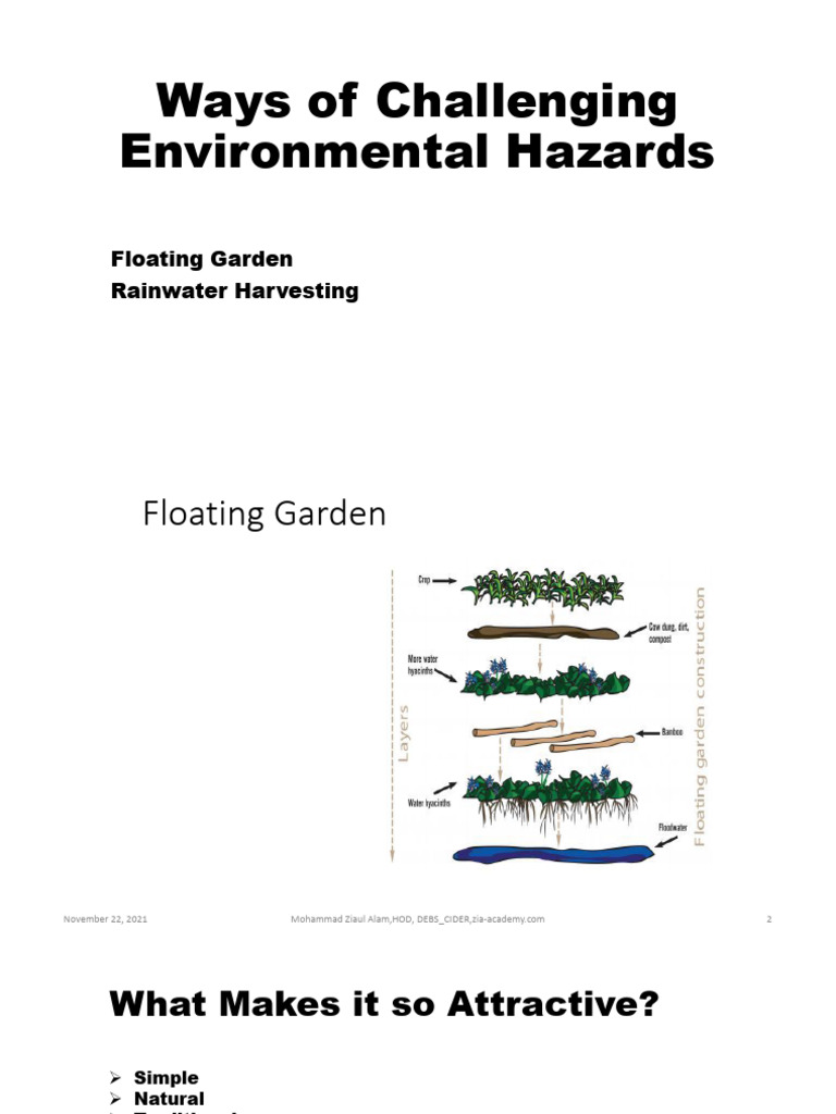 BDS Paper 2 CH - 4.1 Ways of Challenging Environmental Hazards | PDF