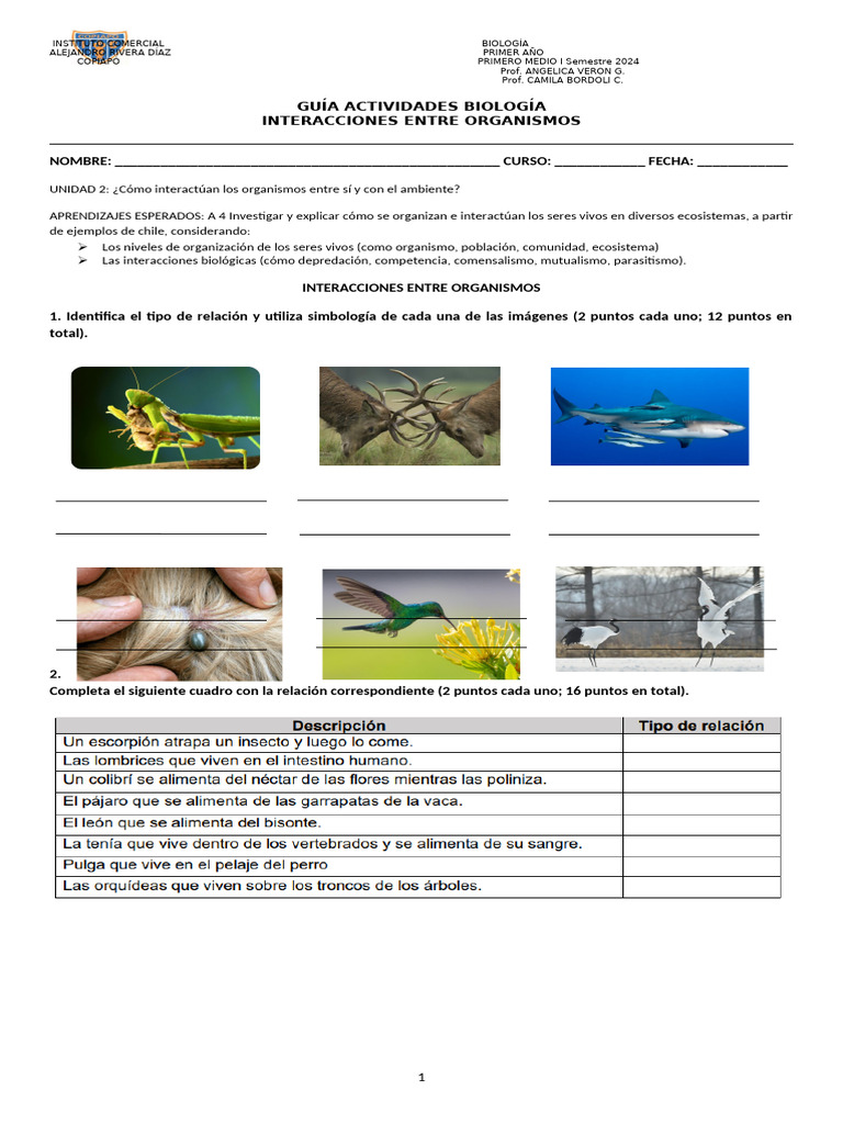 Guía Actividades 1 Interacciones Entre Organismos Biología | PDF