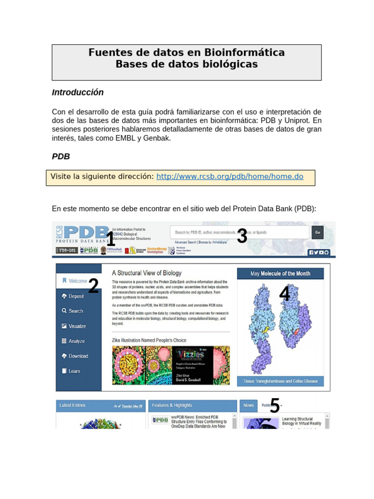 Taller Bioinformatica | PDF