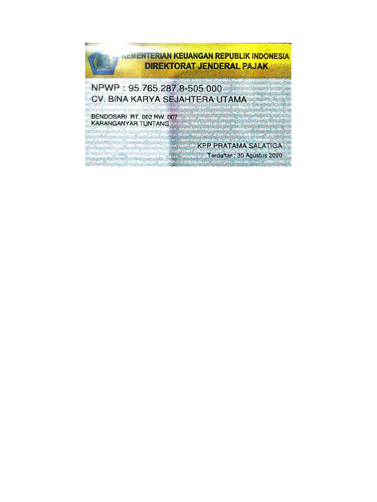 NPWP CV Bina Karya | PDF