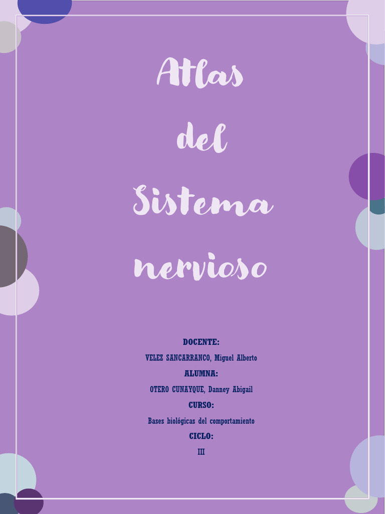 S17.s2 Trabajo final (ATLAS Y GLOSARIO)ABBBI | PDF