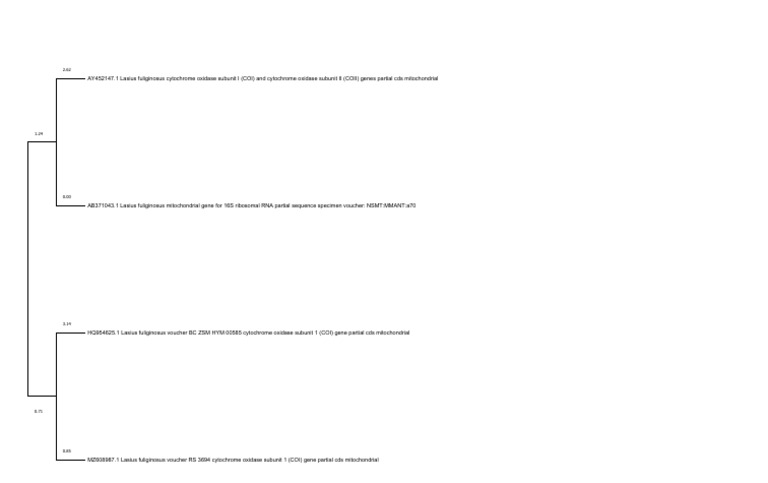 Final PDF Biomol Exp | PDF