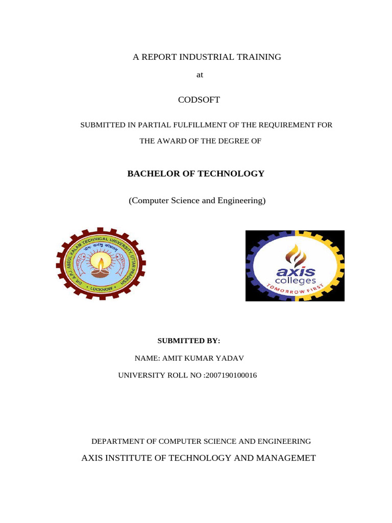 AMIT Sample Industry | PDF