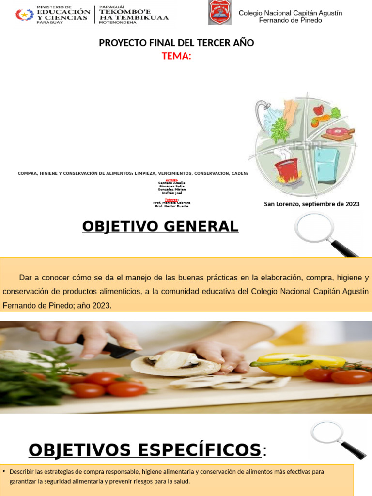 Defensa Proyecto | PDF