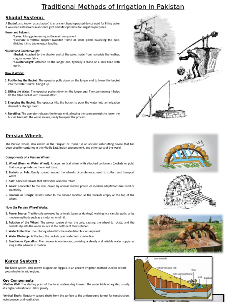 Presentation1 (Autosaved) .pptx1 | PDF