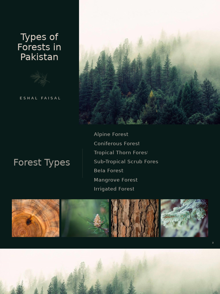 Types of Forests in Pakistan2 | PDF