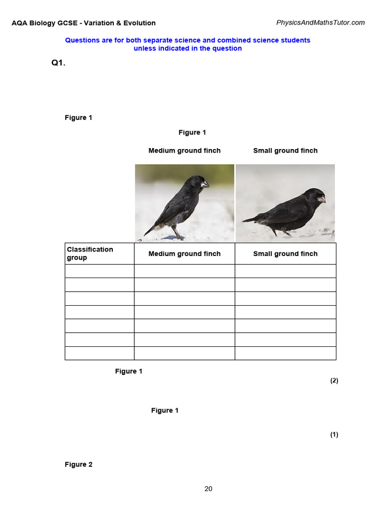 6.2 Variation & Evolution QP | PDF