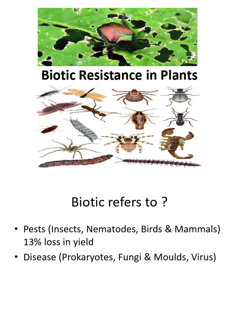 Lec. Biotic Resistance in Plants | PDF