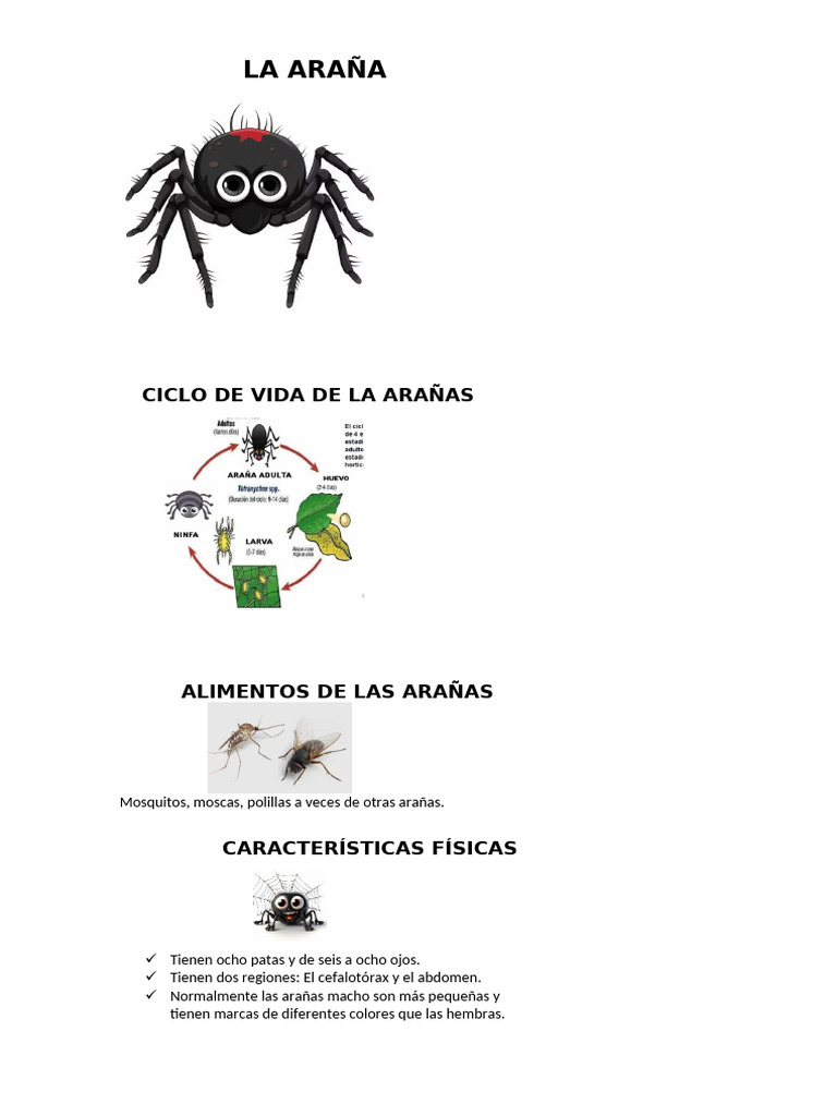 La Araña | PDF