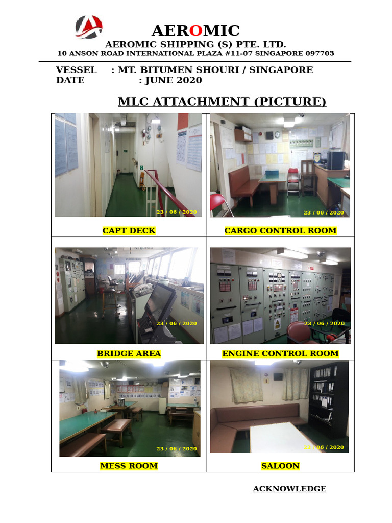 DMLC Month June | PDF