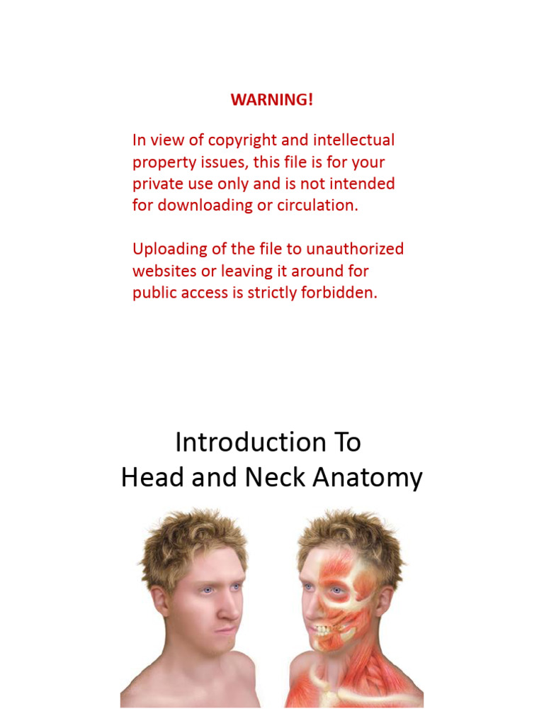 Introduction To Head and Neck | PDF