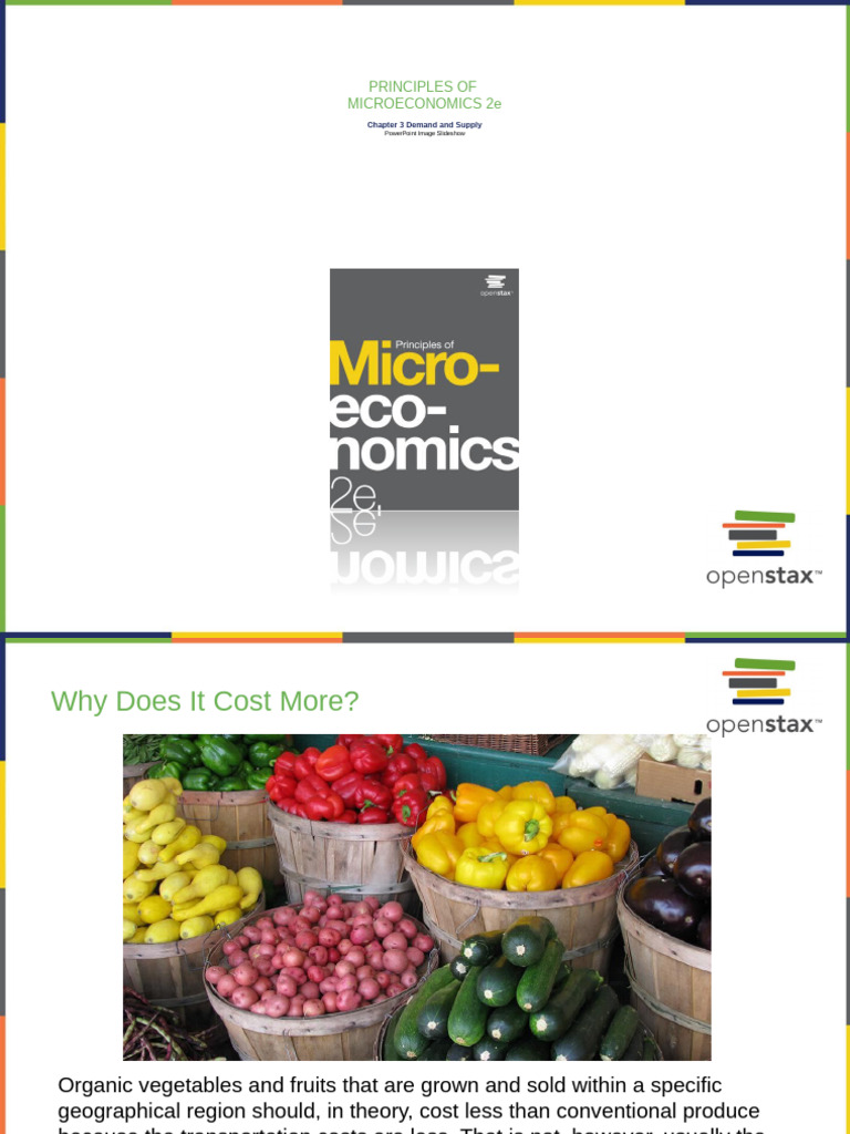 Chapter 3 Microeconomics | PDF