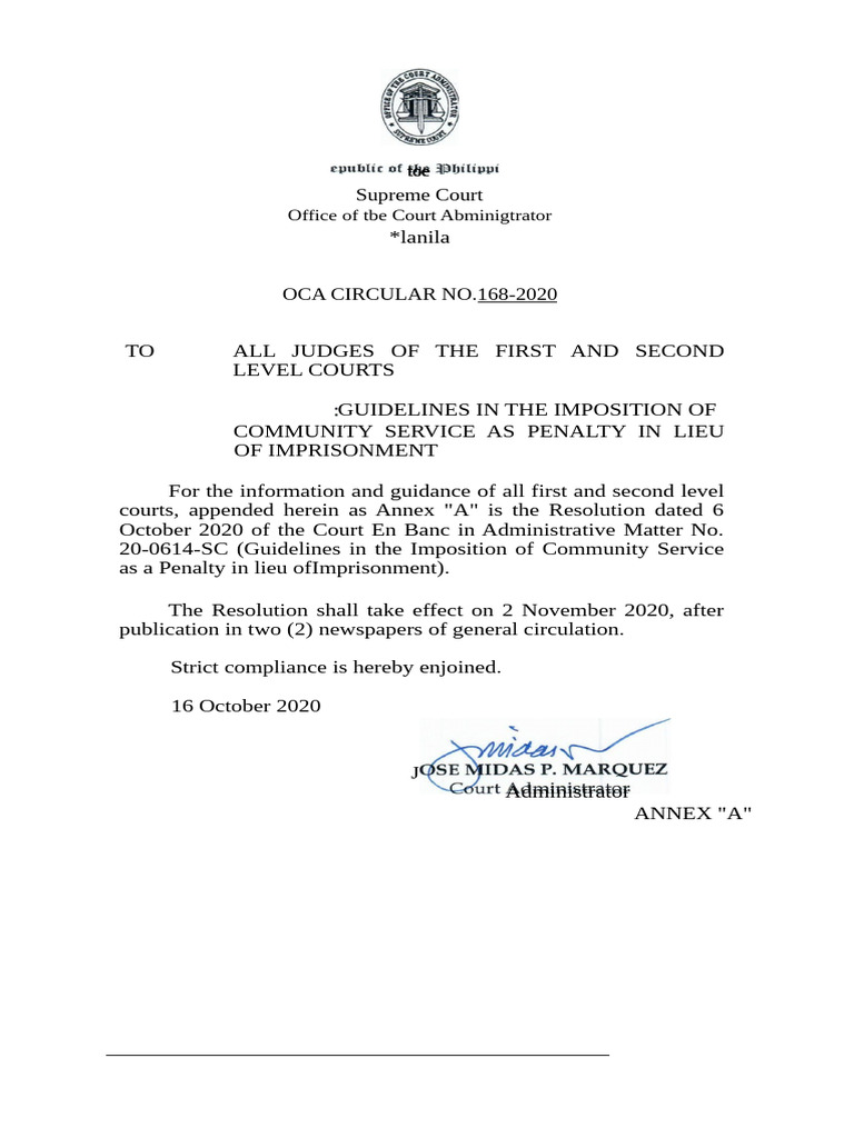 Guidelines Community Service Law | PDF