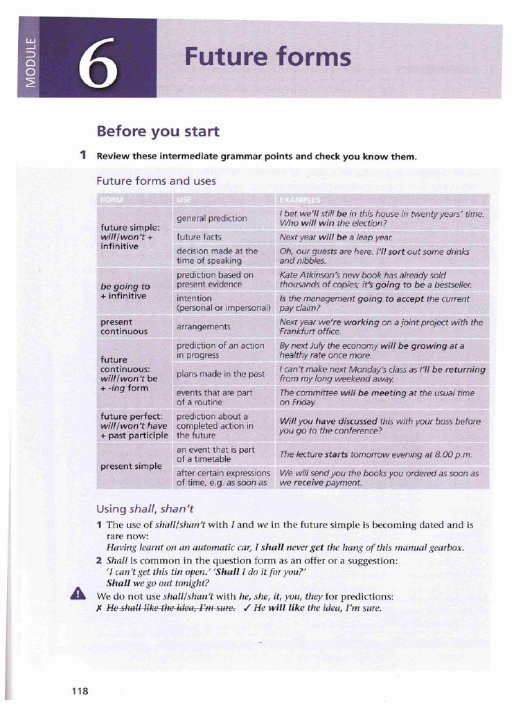 Future forms grammar lab | PDF