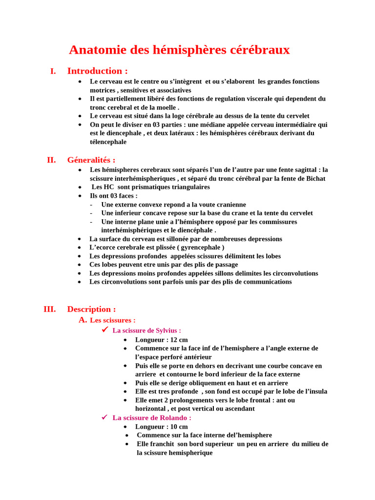 Anatomie Des Hémisphères Cérébraux | PDF