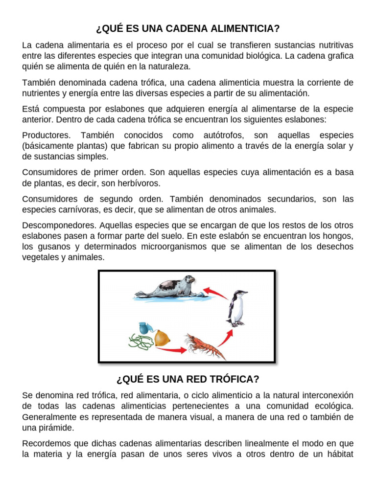 Qué Es Una Cadena Alimenticia | PDF