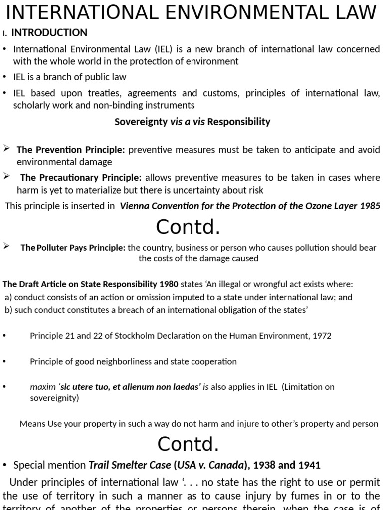 International Environmental Law PPT - I | PDF