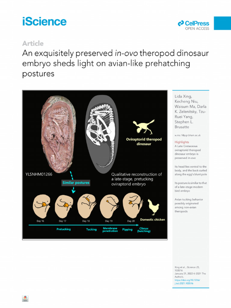 An Exquisitely Preserved In-Ovo Theropod Dinosaur Embryo Sheds Light On ...